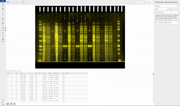 Automated 1D Gel & Western Blot Analysis Software | Phoretix 1D By TotalLab